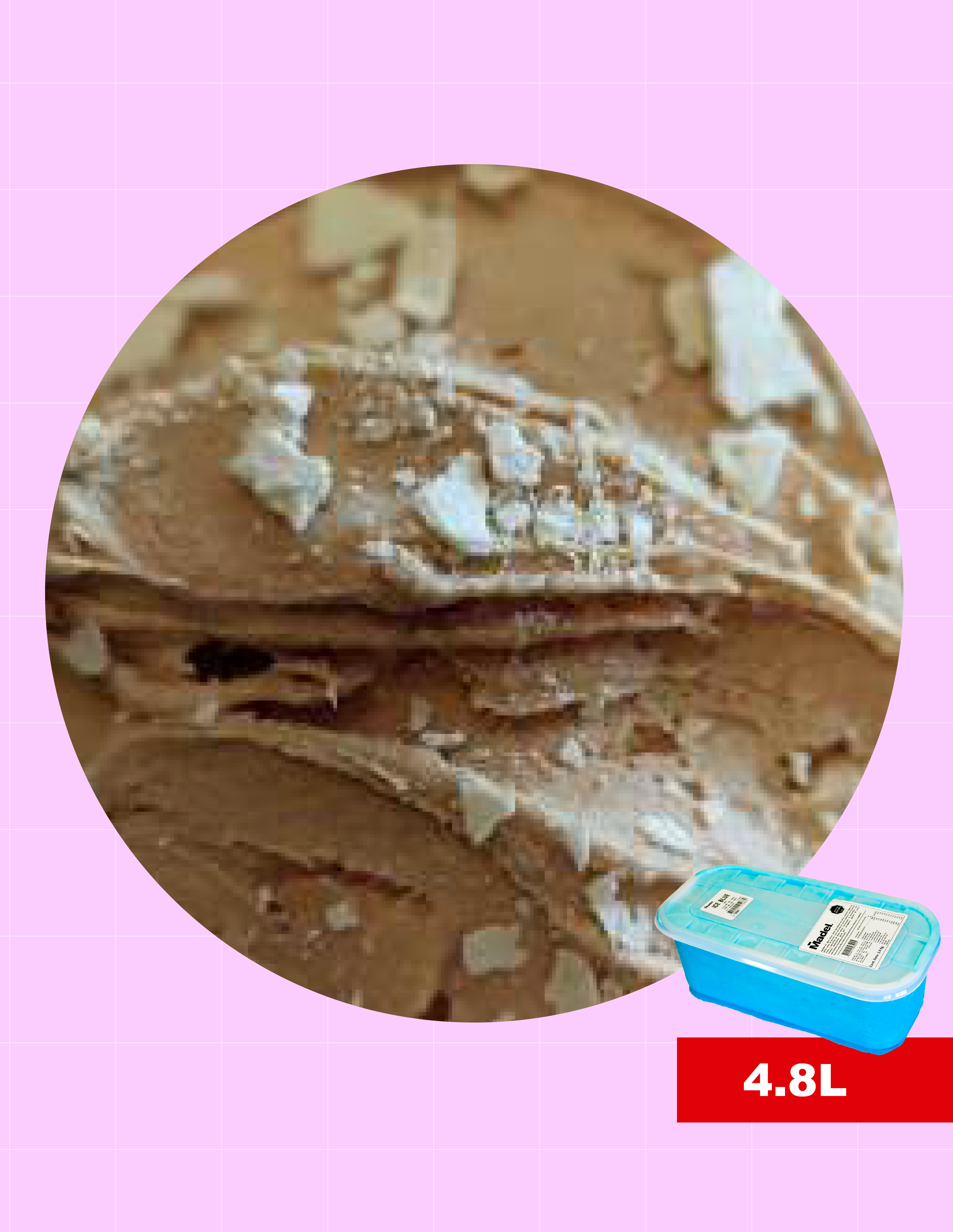 Bachas 4.8L – Helados Madel