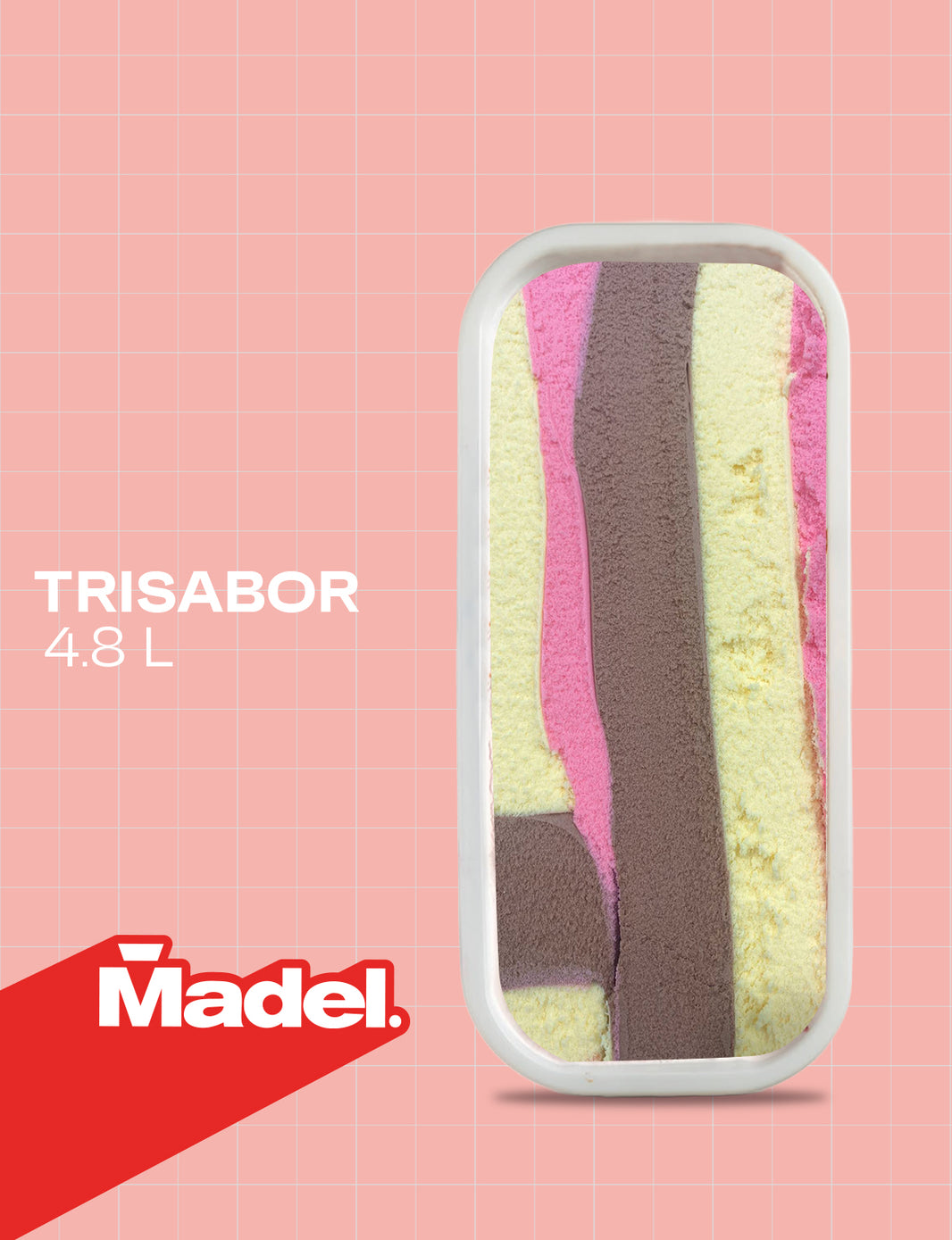 Bachas 4.8L – Page 2 – Helados Madel